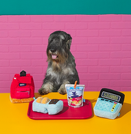 BarkBox Official Brand Assets | Brandfolder