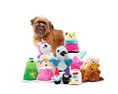 BarkBox Official Brand Assets | Brandfolder