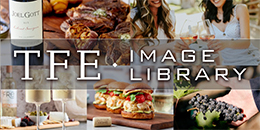 TFE Image Library Official Brand Assets | Brandfolder