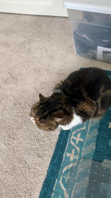 West-Test Official Digital Assets | Brandfolder